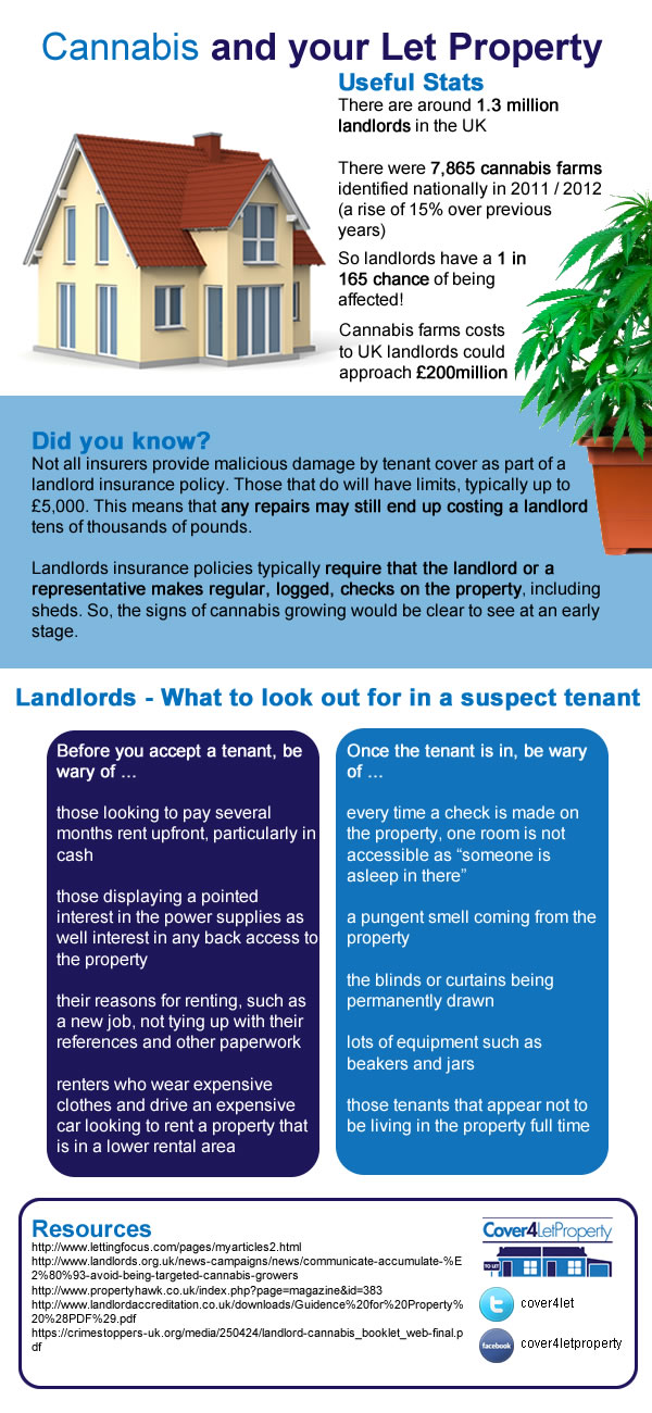 cannabis farms infographic - Cover4LetProperty